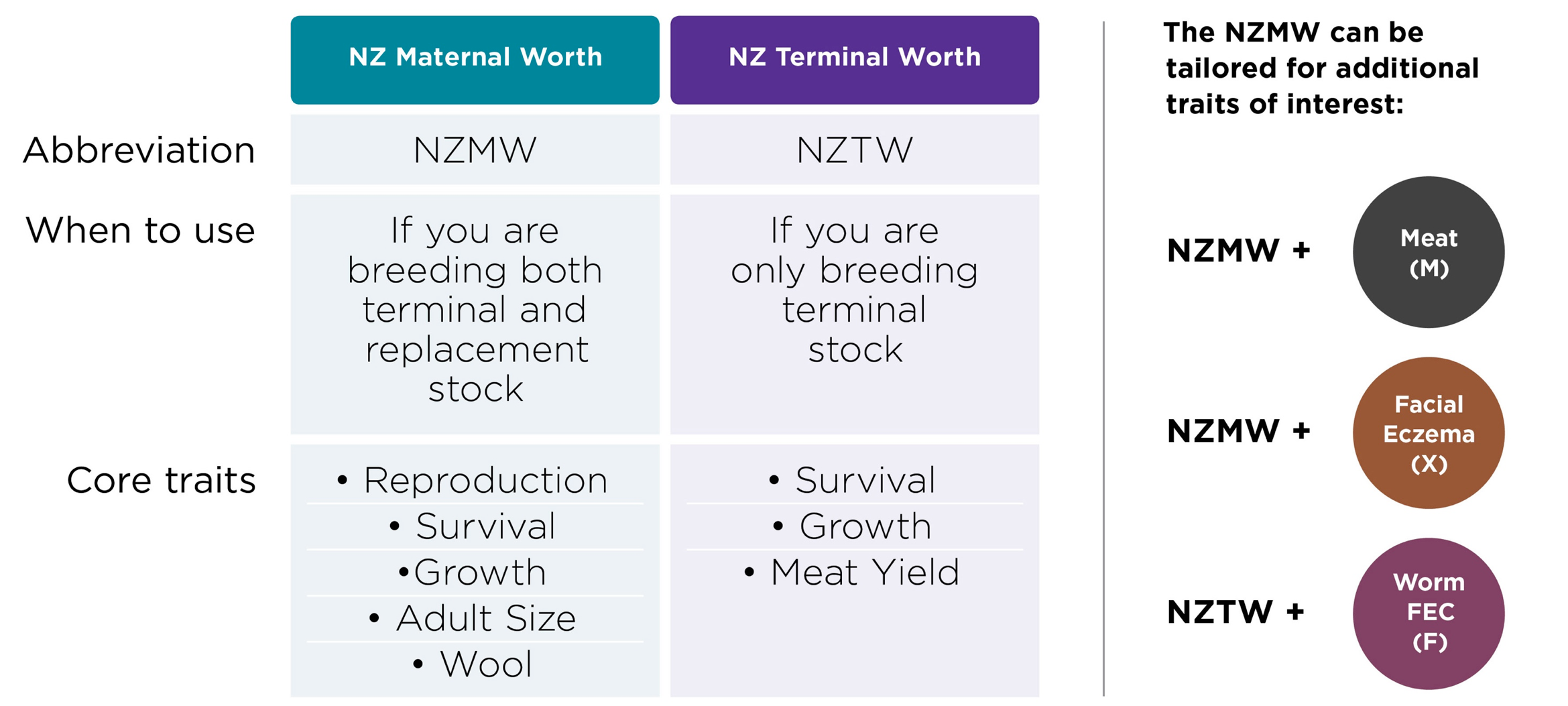 Choosing rams just got a lot easier - Media Releases | B+LNZ Genetics
