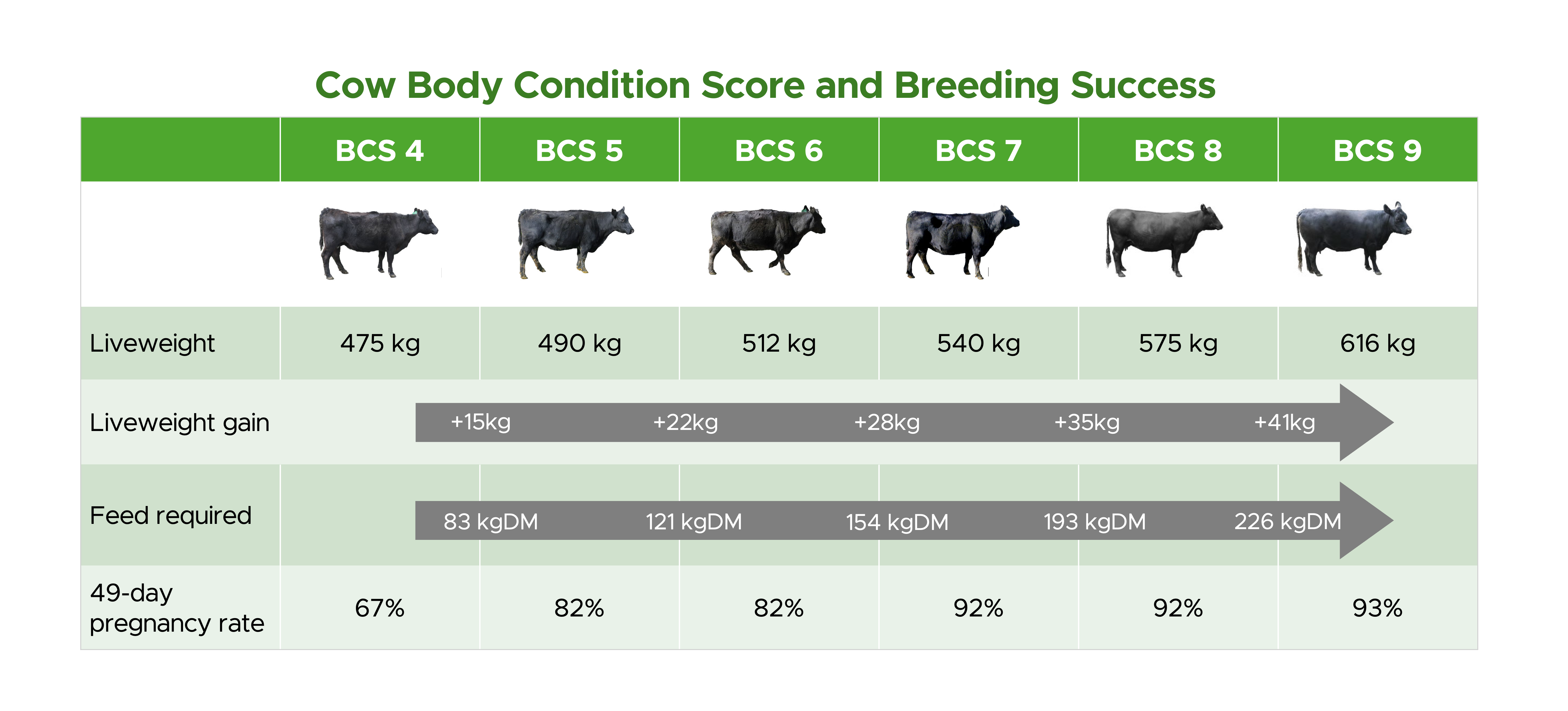 Managing cow BCS for breeding success - Beef Progeny Test Results | B ...